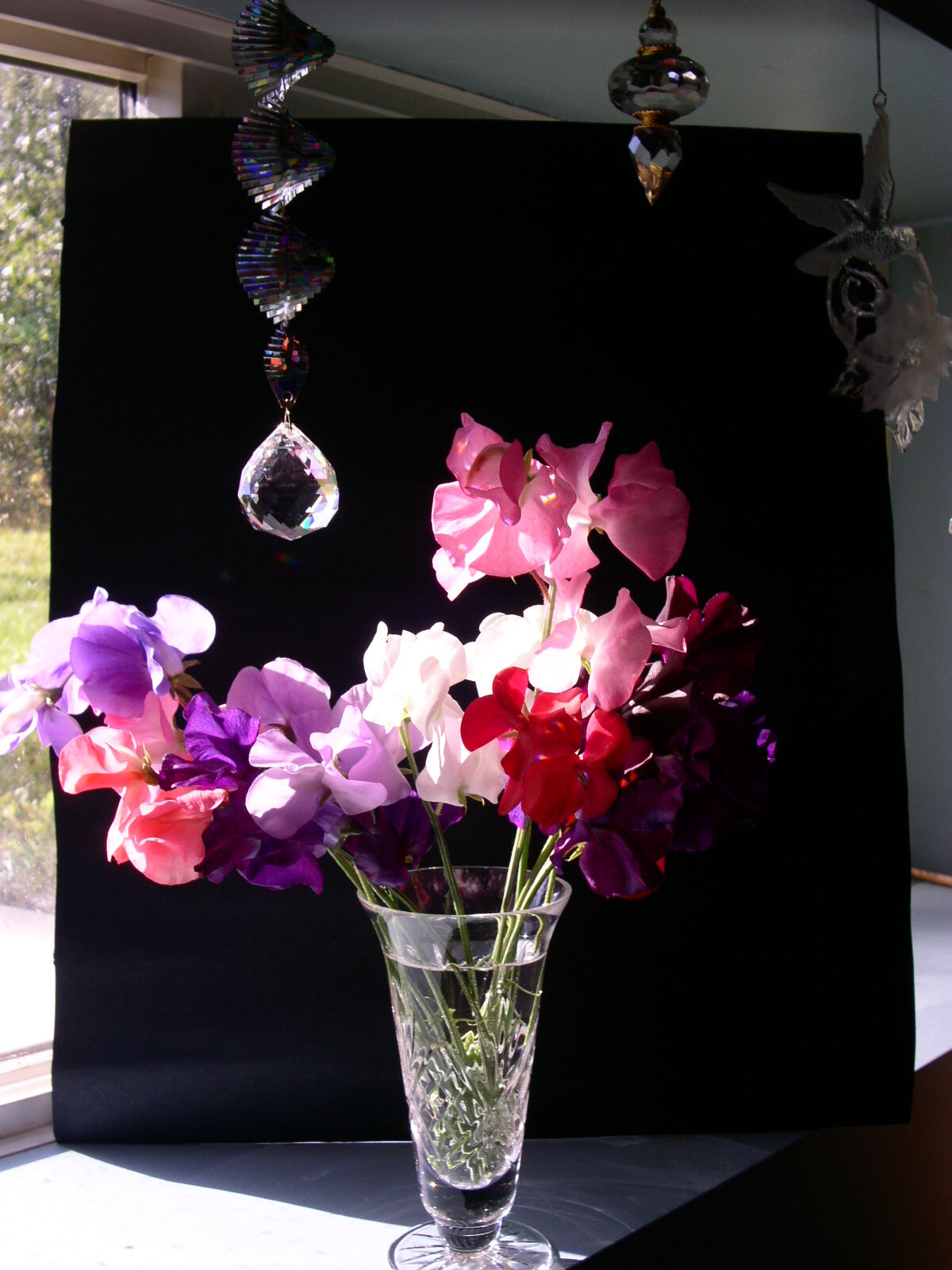 Flower References - Michele Clamp Art Flower References - Michele Clamp Art