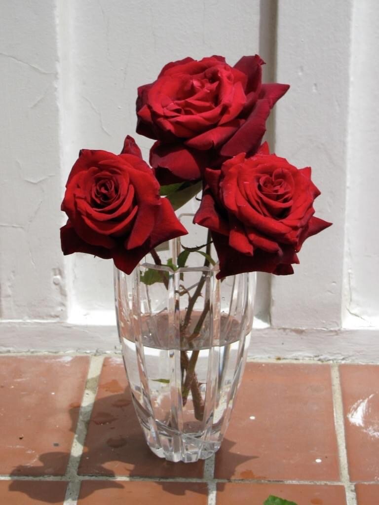 Flower References - Michele Clamp Art