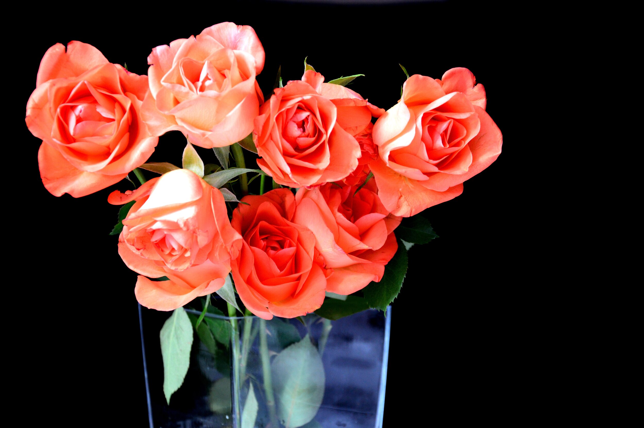 Flower References - Michele Clamp Art Flower References - Michele Clamp Art