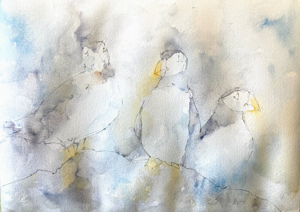Oh the Puffins! Puffin Watercolor Painting - Michele Clamp Art