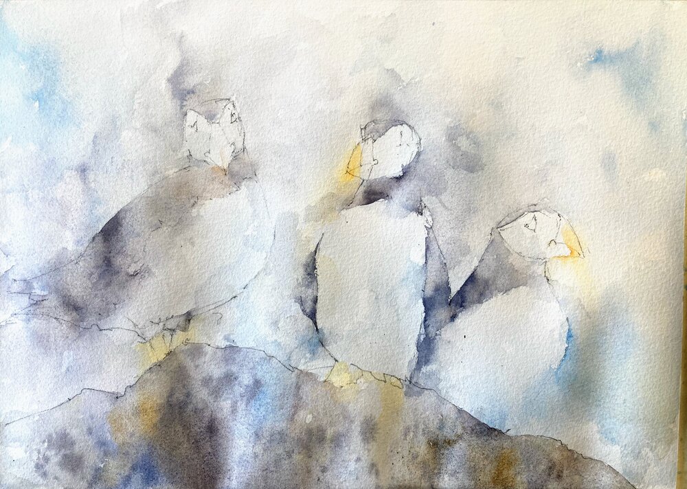 Oh the Puffins! Puffin Watercolor Painting - Michele Clamp Art