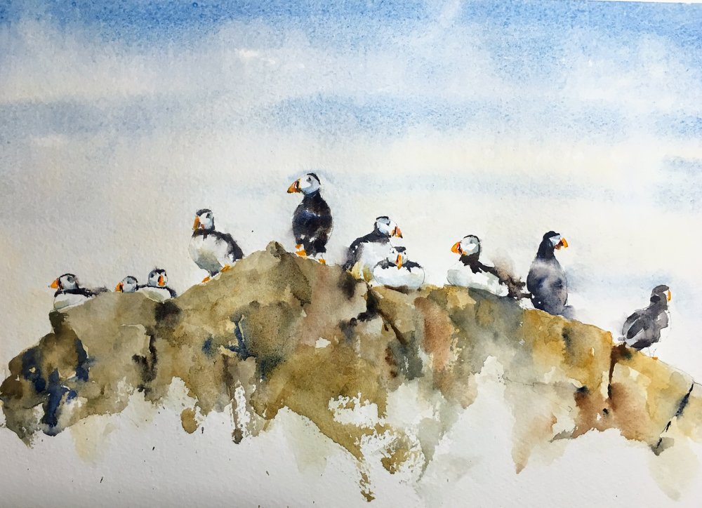 Plenty of Puffins Original Watercolor Painting - Michele Clamp Art