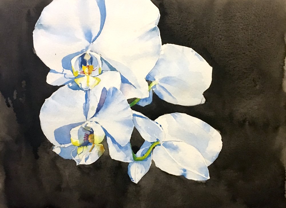 Orchids Original Watercolor Painting - Michele Clamp Art