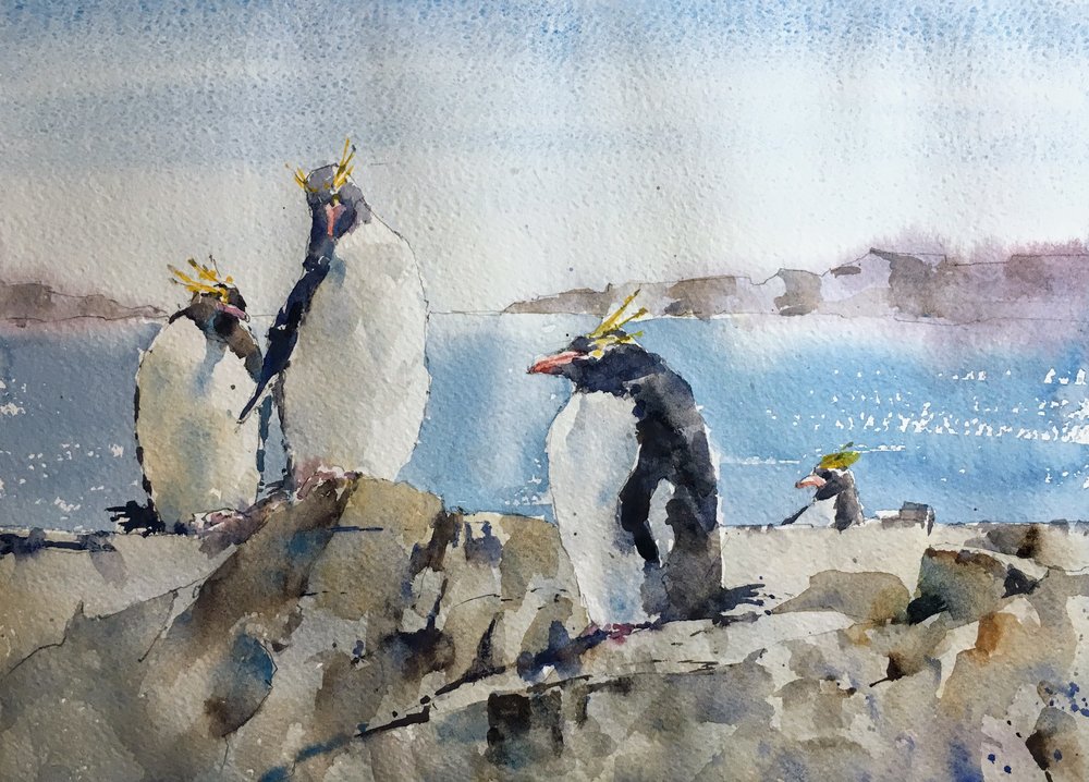 Rockhopper Penguins Original Watercolor Painting - Michele Clamp Art