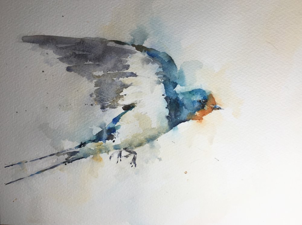Barn Swallow Original Watercolor Painting - Michele Clamp Art