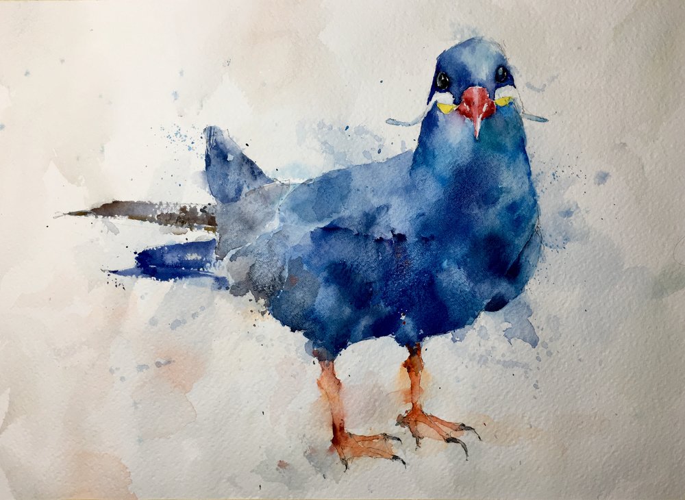 Inca Tern Original Watercolor Painting - Michele Clamp Art